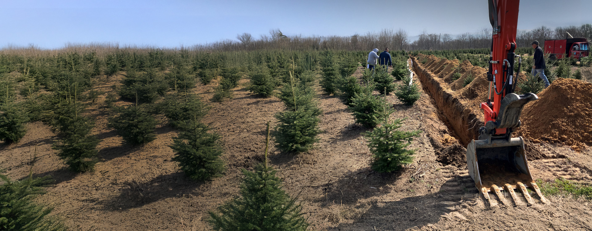 Precision in Every Drop. - Precision Drip Irrigation Systems | Trickl ...